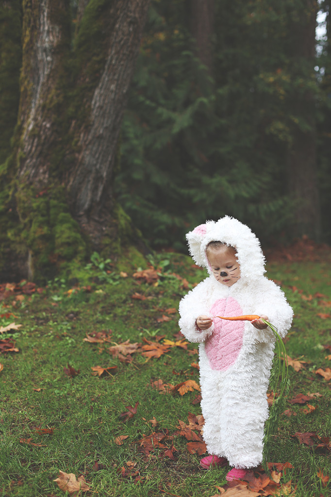DIY Bunny Costume - Sew Much Ado