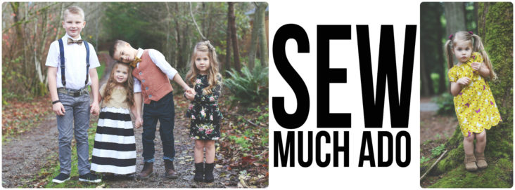 A Re-Cap of 2016 - Sew Much Ado