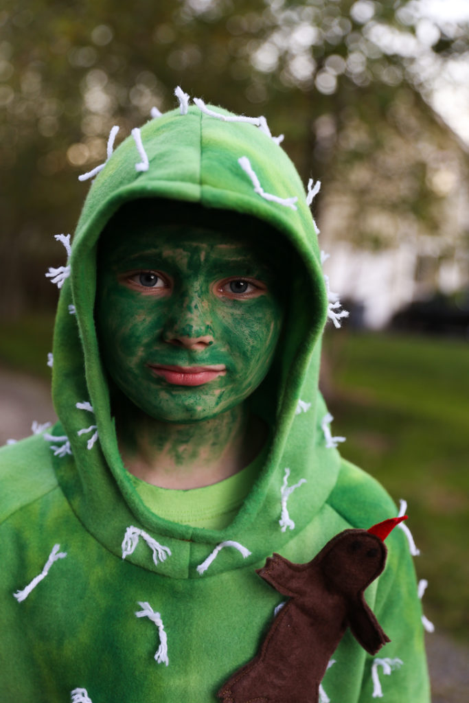 DIY Cactus Costume - Sew Much Ado