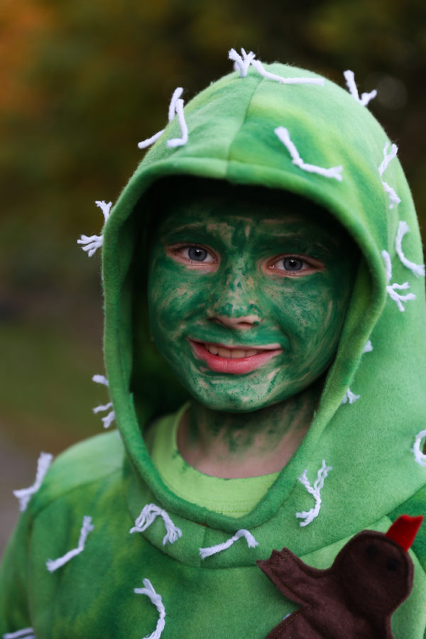 DIY Cactus Costume - Sew Much Ado
