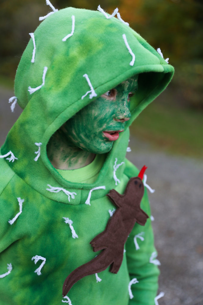 DIY Cactus Costume - Sew Much Ado